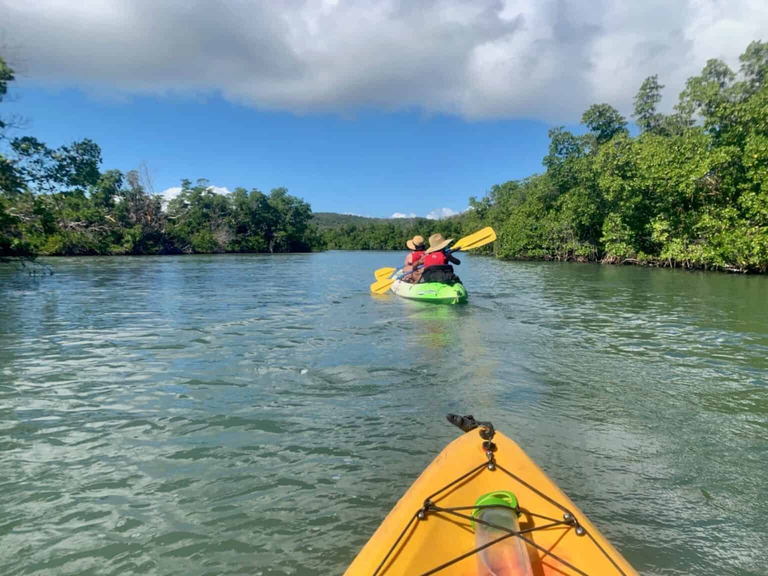 The Do's and Don'ts of Vieques: Travel Tips for First-Time Visitors ...