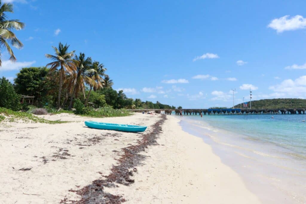 10 Reasons Why You Should Visit Vieques on Your Next Trip to Puerto ...