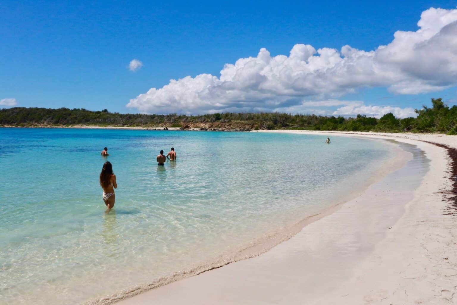 The Do's and Don'ts of Vieques: Travel Tips for First-Time Visitors ...