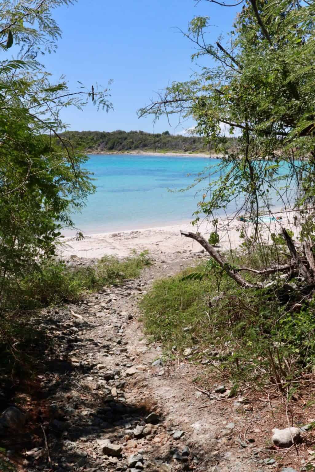The Do's and Don'ts of Vieques: Travel Tips for First-Time Visitors ...