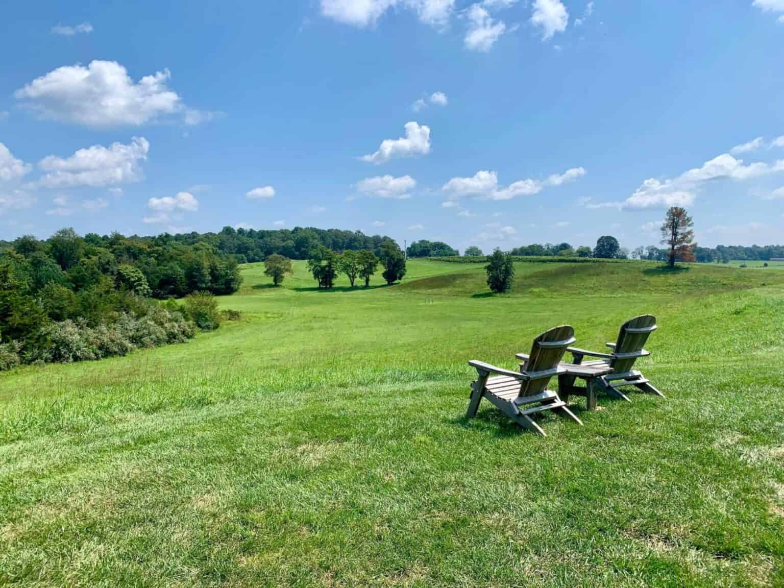 A Gorgeous Bachelorette Weekend in Virginia Wine Country | Full Life ...