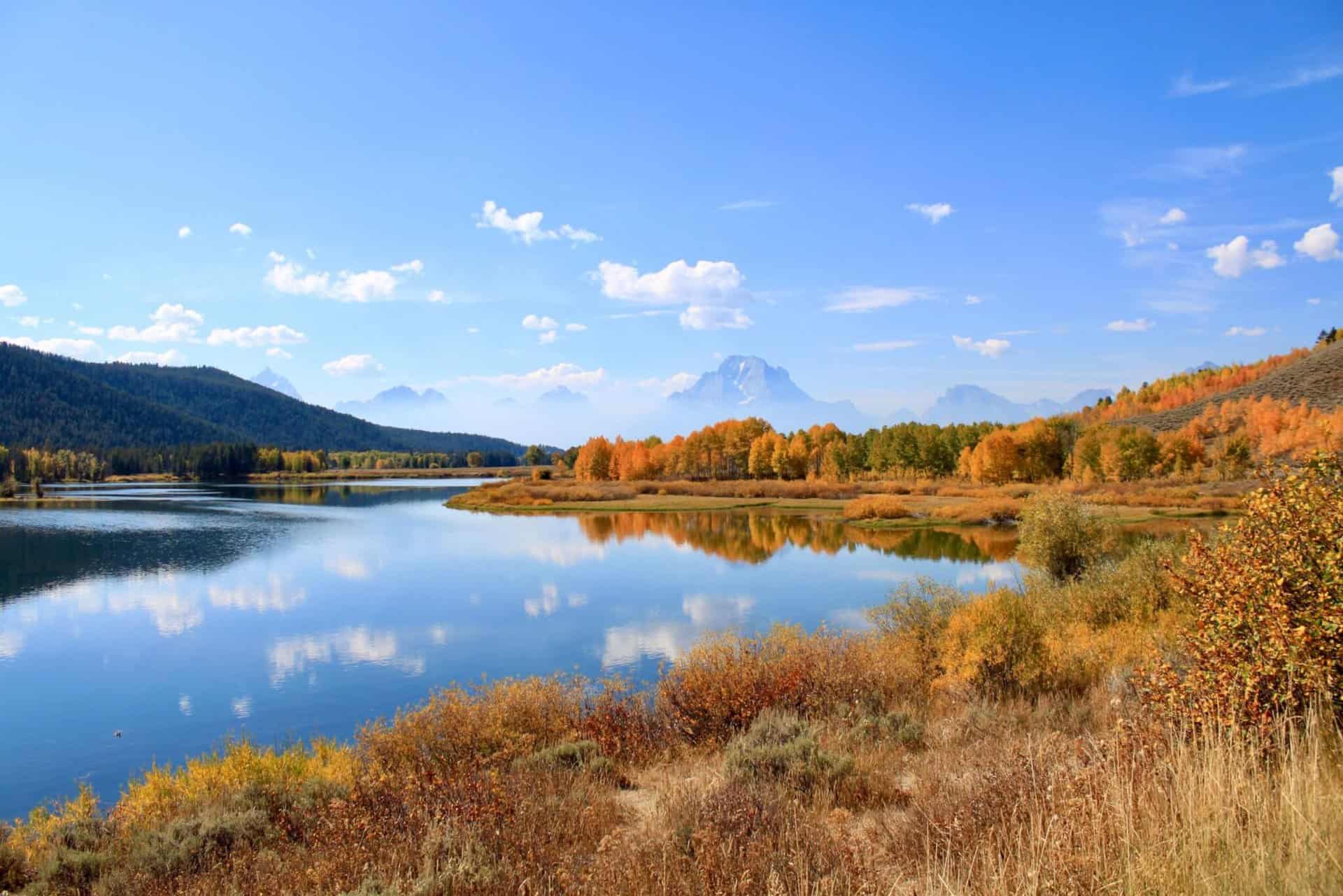 A Fall Road Trip Through Yellowstone National Park | Full Life, Full ...
